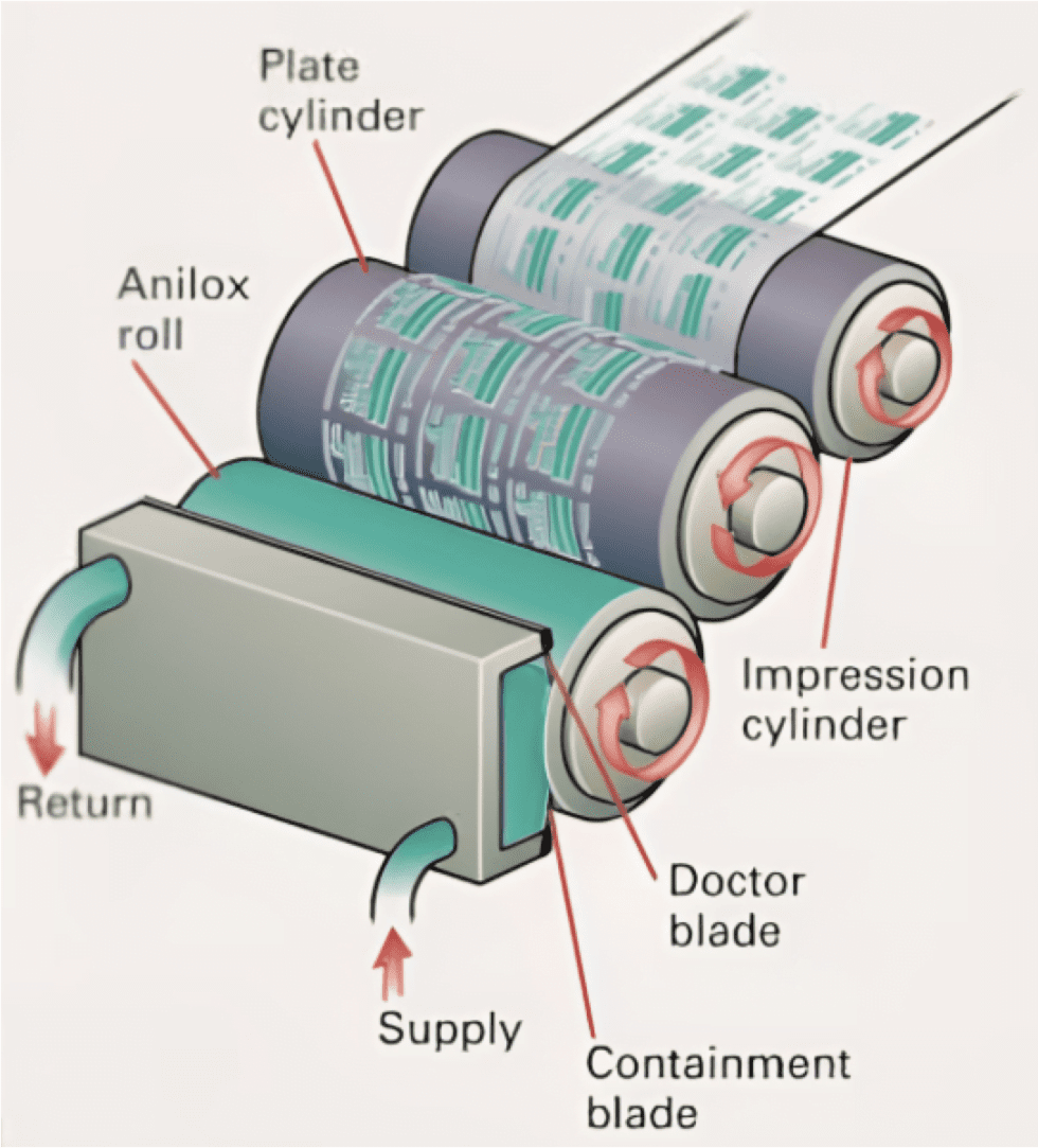 Comprehensive Overview of Flexography