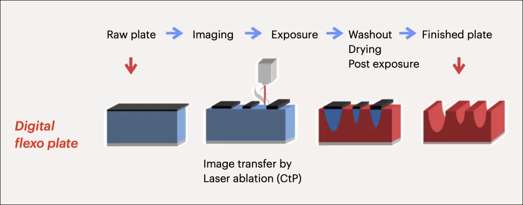 Flexo Pre-Press Stage Unlocked: A Comprehensive Guide